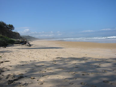 Photo Gallery - Australia - Byron Bay Trip January 2006